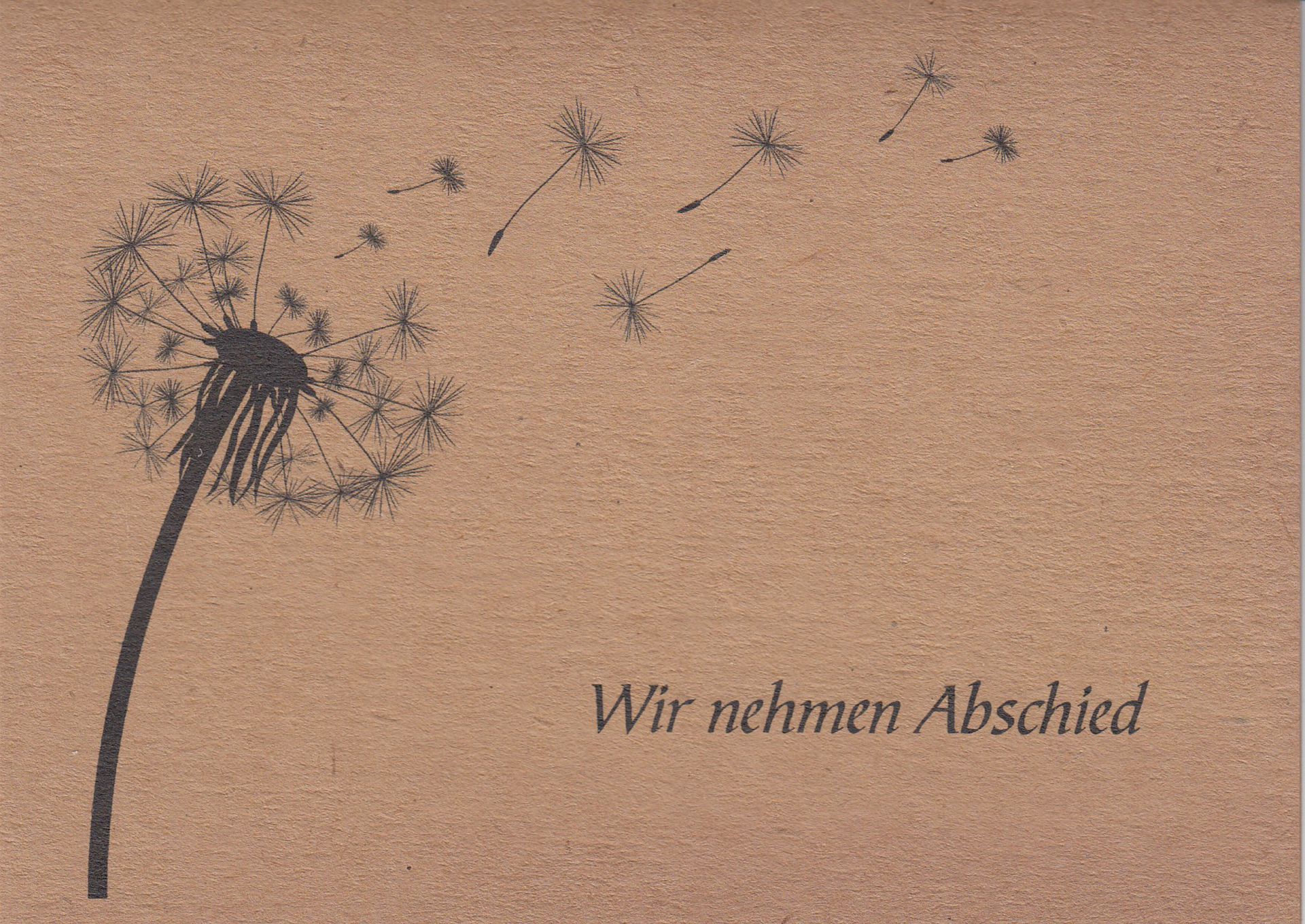Karte zur Trauer - Wir nehmen Abschied & Pusteblume | 5746-115